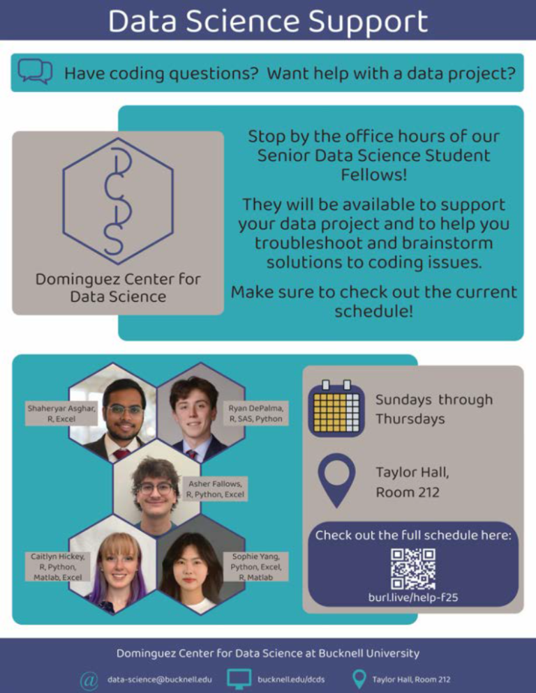 Data Science Support…office hours with Fellows